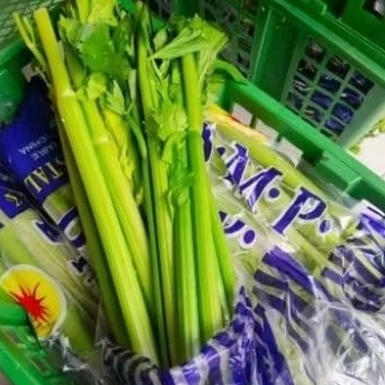 Jual Seledri Stik Impor 10kg Celery Stick Import China | Shopee Indonesia