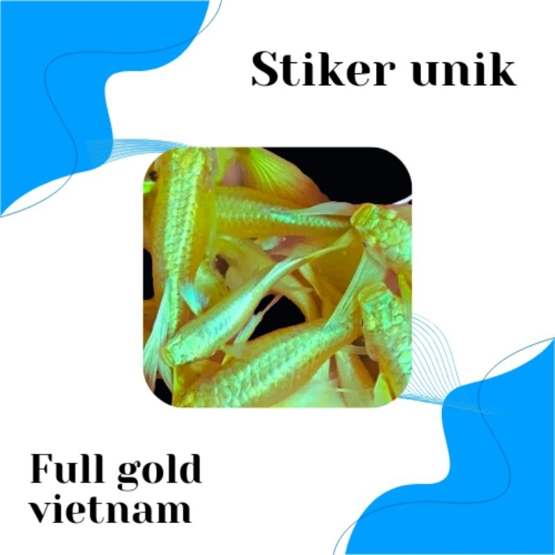 Jual STIKER UNIK FULL GOLD | Shopee Indonesia