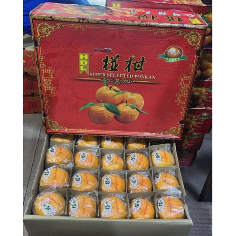 Jual Jeruk Ponkam HDL ISI 40 Pcs Hampers Box | Shopee Indonesia