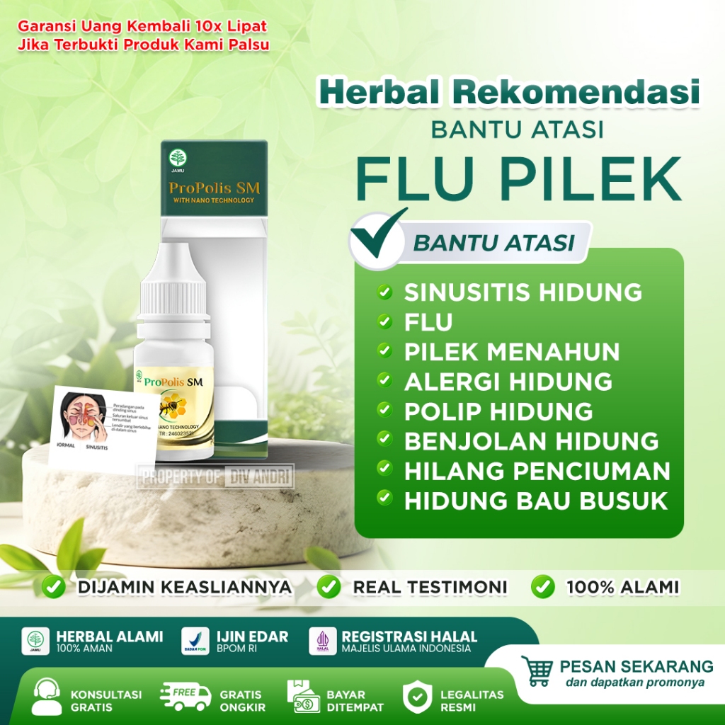 Jual Propolis SM Obat Flu Pilek Menahun Hidung Tersumbat Sinusitis ...