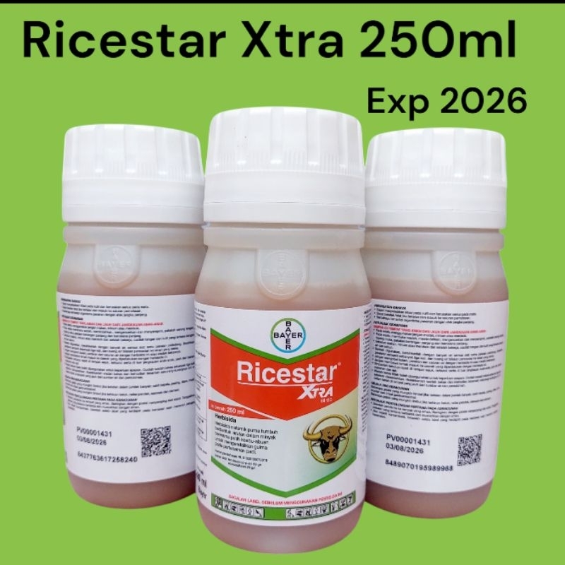 Jual herbisida Ricestar xtra 250ml padi original | Shopee Indonesia