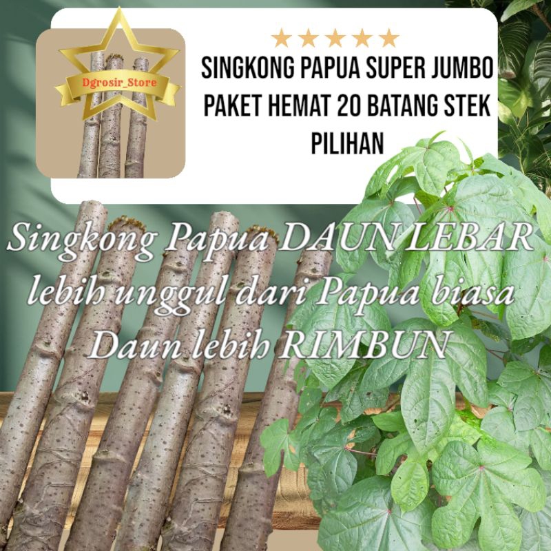 Jual Paket Hemat 20 Batang jumbo telo papua/singkong papua daun lebar ...
