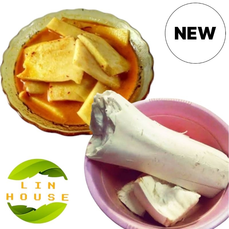 Jual UMBUT MUDA POHON KELAPA UMBUT BAHAN SAYUR ENAK 1000 GRM | Shopee ...