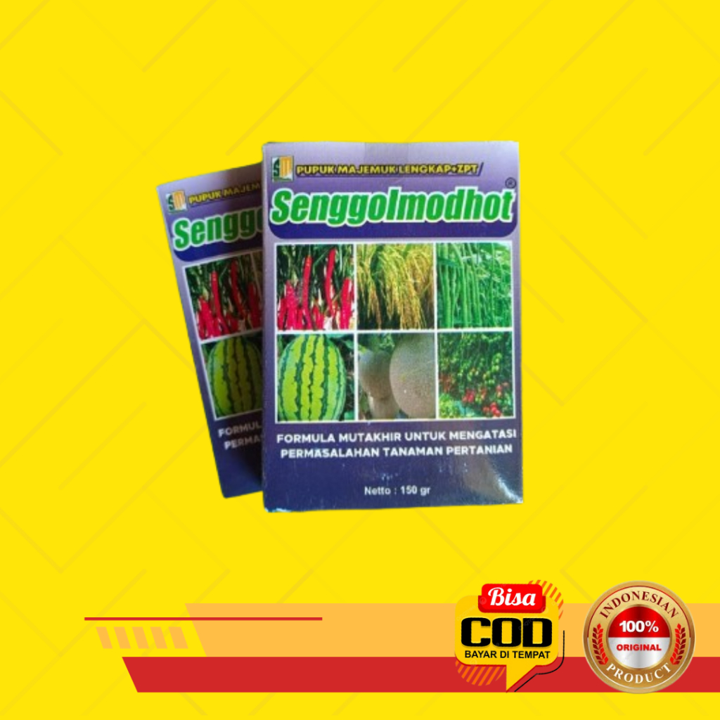 Jual Senggol Modot Kemasan 150 Gram Pupuk Zat Pengatur Tumbuh (ZPT ...
