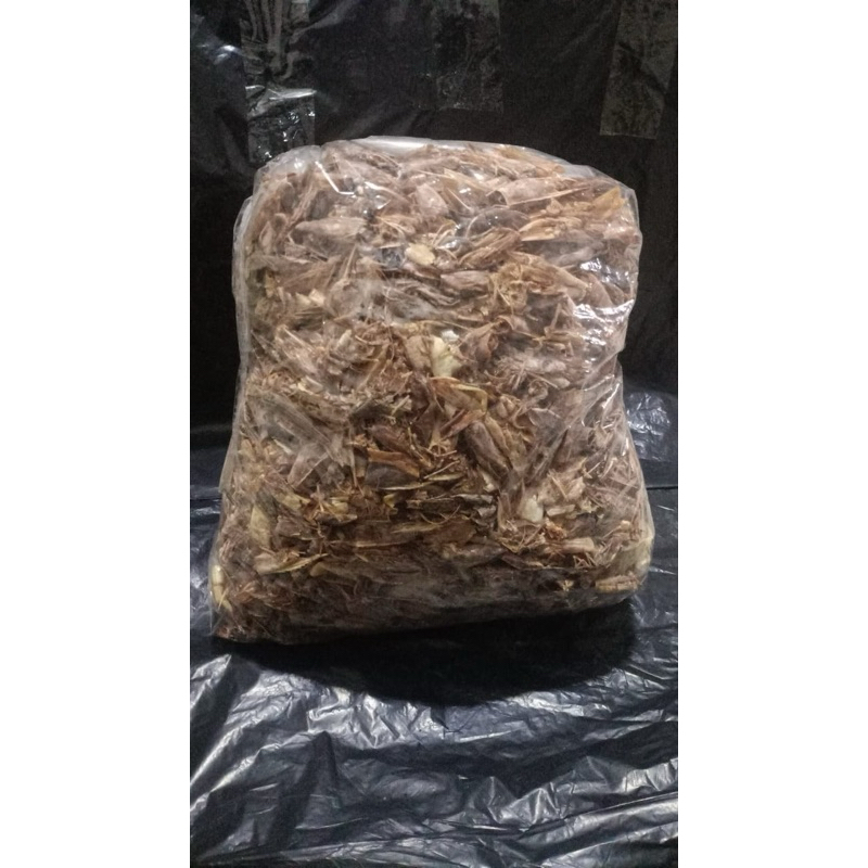 Jual kepala udang Vaname / kepala udang kering / kepala udang pakan ...