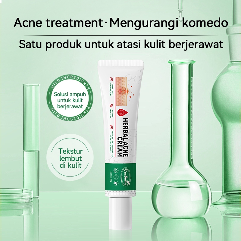 Jual Herbal Acne Cream CINSULIN Penghilang jerawat obat jerawat dan ...