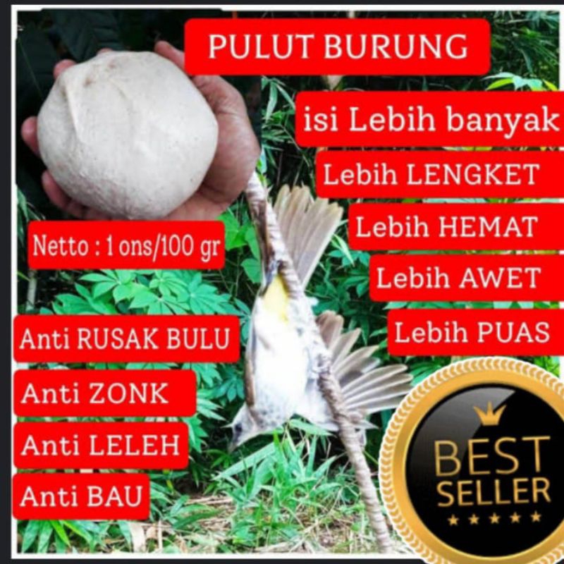 Jual pulut burung lem burung jebakan burung lebih hebat isi lebih ...