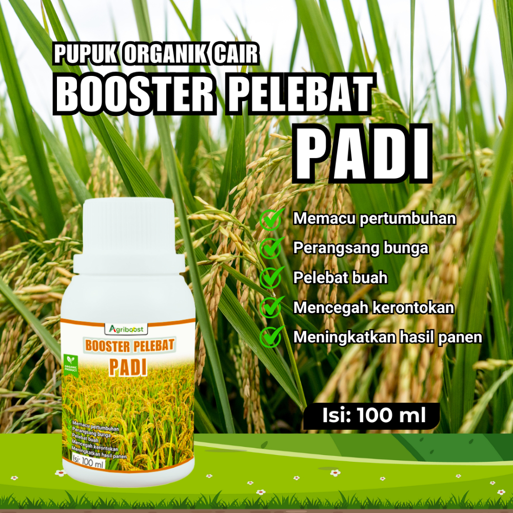 Jual Pupuk Booster Organik cair pelebat tanaman Padi 100 ml,Memacu,melebatkan dan menyuburkan ...