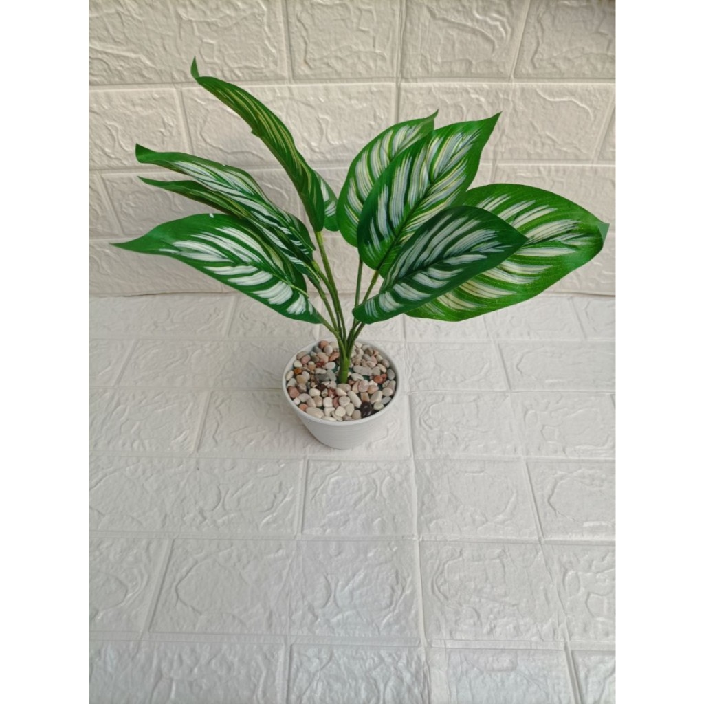 Jual Dekorasi Tanaman Artificial Keladi Lis Putih Tinggi 25 cm Pot ...