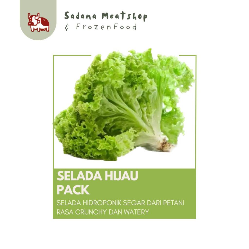 Jual Selada Hidroponik Pack 120gr-180gr | Shopee Indonesia