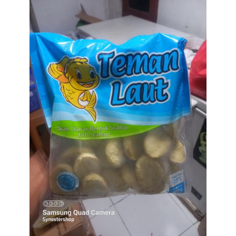 Jual Teman Laut Scalop 500gr Frozen food | Shopee Indonesia