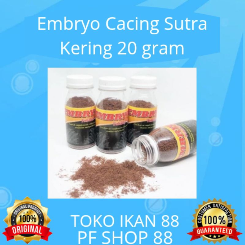 Jual Embryo Cacing Sutra Kering 20 gram tubifex sp pakan ikan hias ...