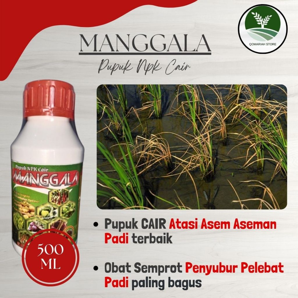 Jual PUPUK PADI ASEM ASEMAN MANGGALA 500ML Obat Semprot Asem Aseman ...
