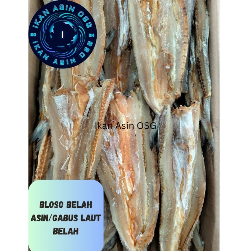 Jual Ikan Asin Bloso Belah/Gabus Laut /Palu-Palu Belah Super | Shopee ...
