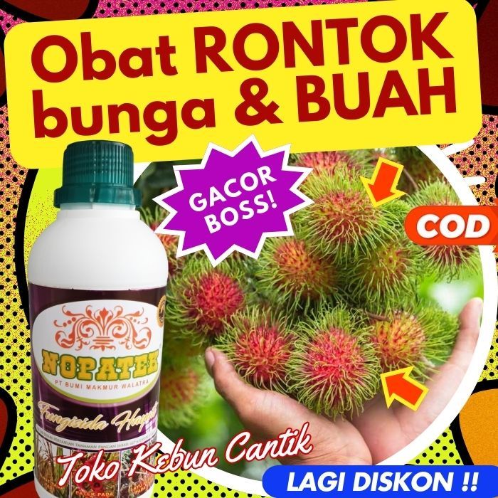Jual NOPATEK 500ML untuk Rontok Bunga & Buah pada Jeruk, Durian, Mangga ...