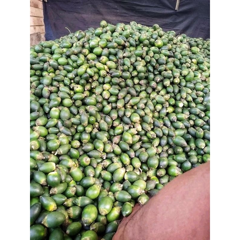 Jual Pinang Muda / Jambe Muda Berkualitas 1 Kg | Shopee Indonesia
