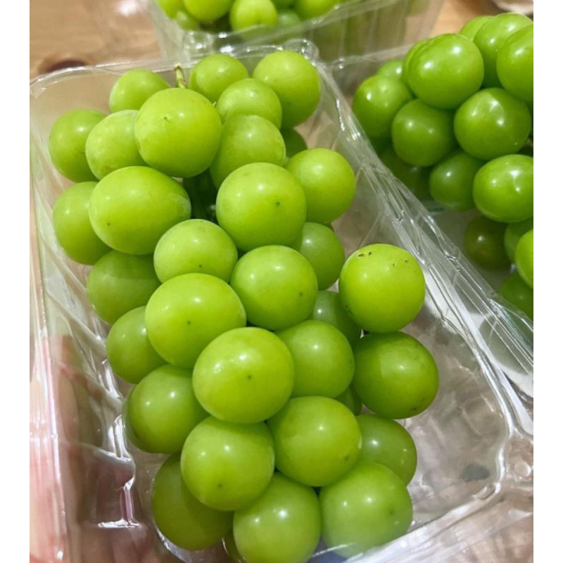 Jual Anggur Shine Muscat Pack / Anggur Muscat Premium Manis / Anggur ...