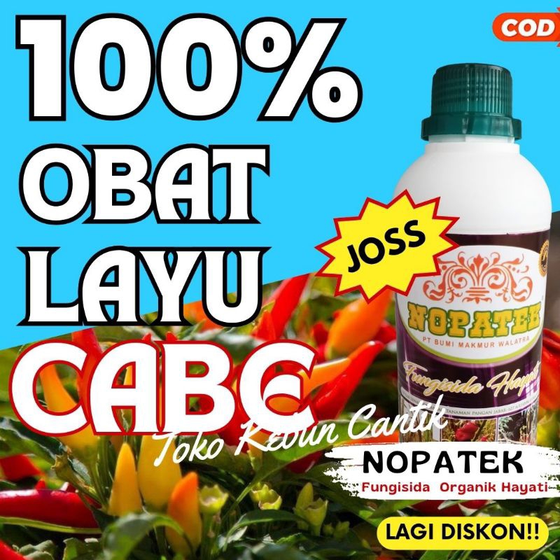 Jual NOPATEK Obat Layu Fusarium Cabai Ampuh 500ML – Fungisida Organik ...