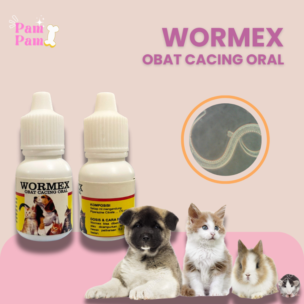 Jual Wormex Obat Cacing Oral 10ml Obat Cacing Kucing Anjing Kelinci ...