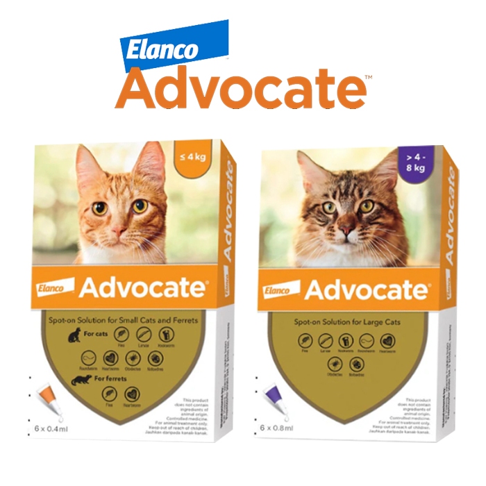 Jual ADVOCATE Cat Elanco Obat Kutu Kucing Advocate | Shopee Indonesia
