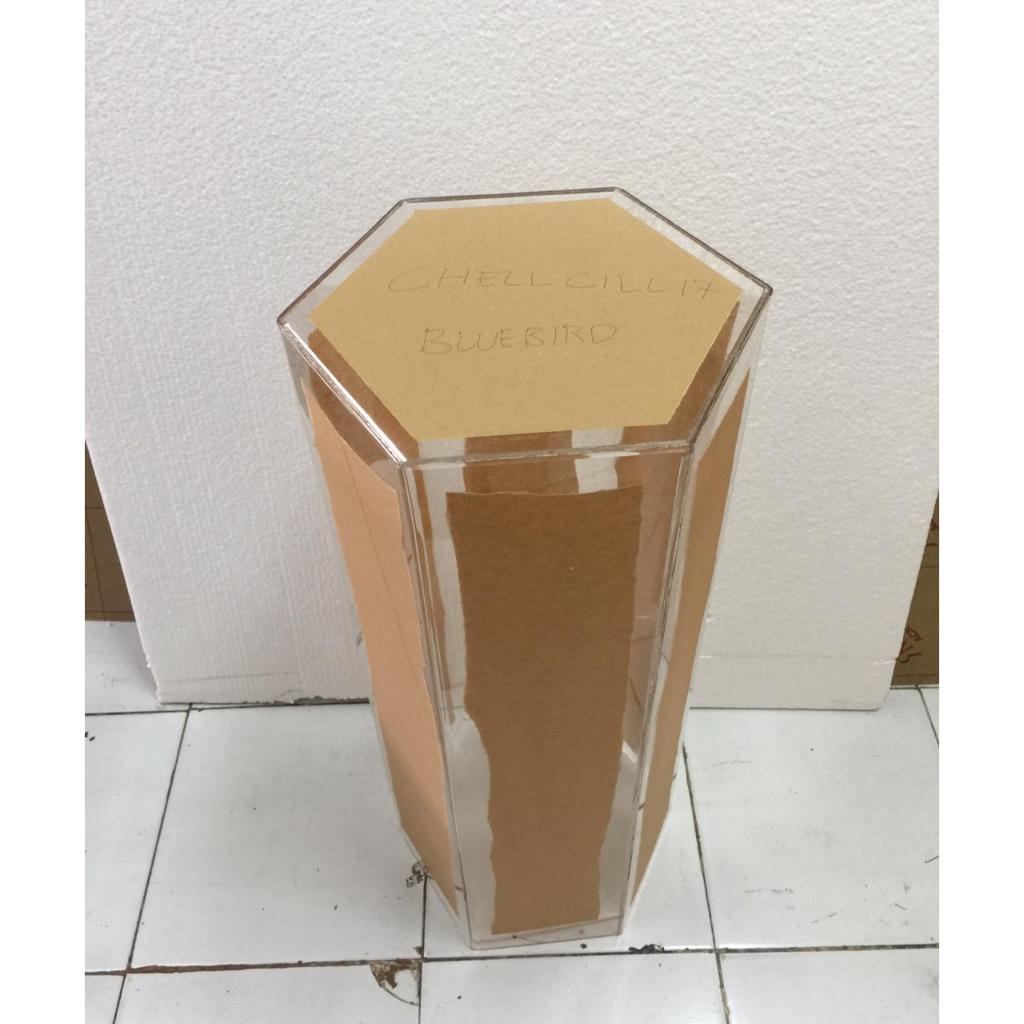 Jual Akrilik Hexagonal Custom DxT 35x80cm | Shopee Indonesia