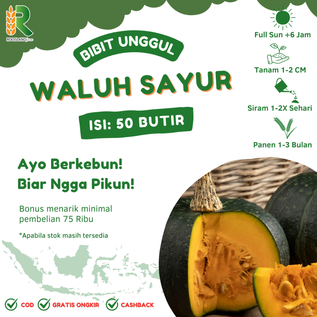 Jual BENIH WALUH SAYUR KUALITAS SUPER (50 BUTIR) | Shopee Indonesia