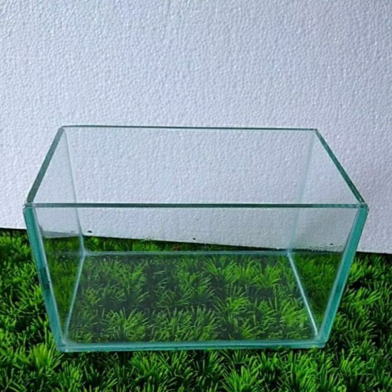 Jual Aquarium kaca 20*10*10 // soliter cupang // aquarium kaca ...