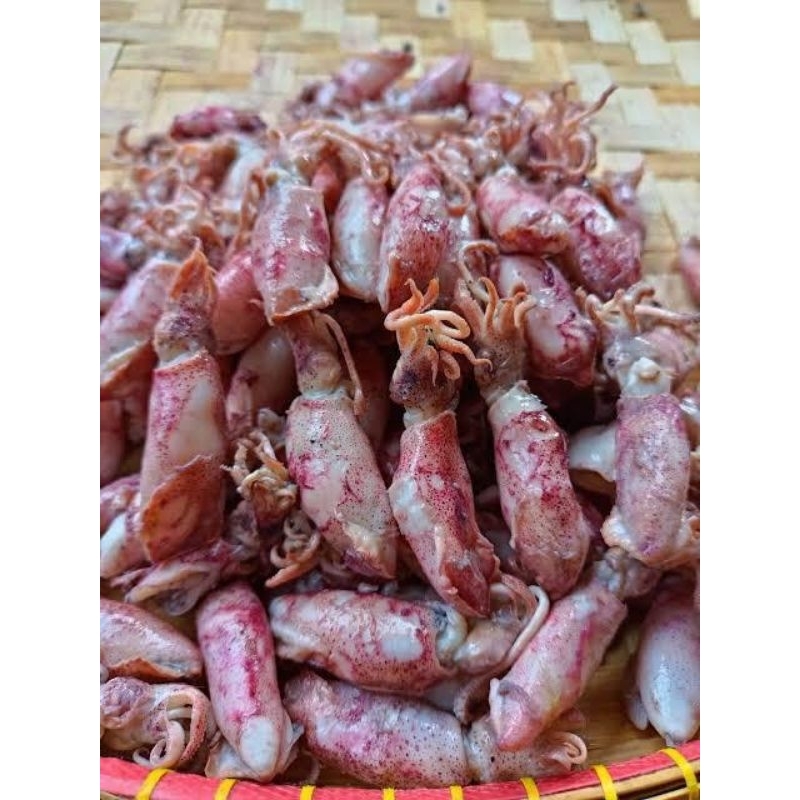 Jual Cumi 1 Kg Terlengkap & Harga Terbaru Mei 2026 | Shopee Indonesia