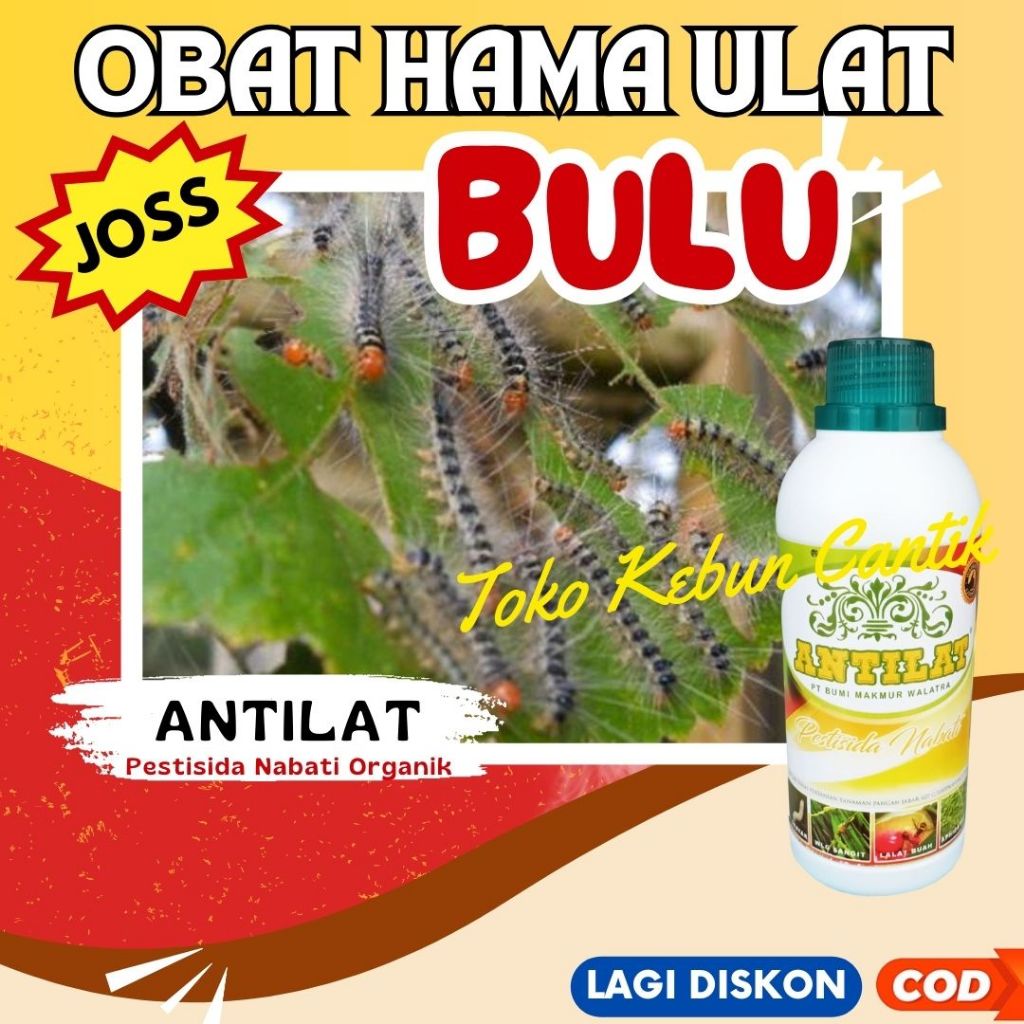 Jual Obat Hama Ulat ANTILAT 500ML – Pestisida Organik untuk Tanaman Cabe, Padi, Tomat, dan ...