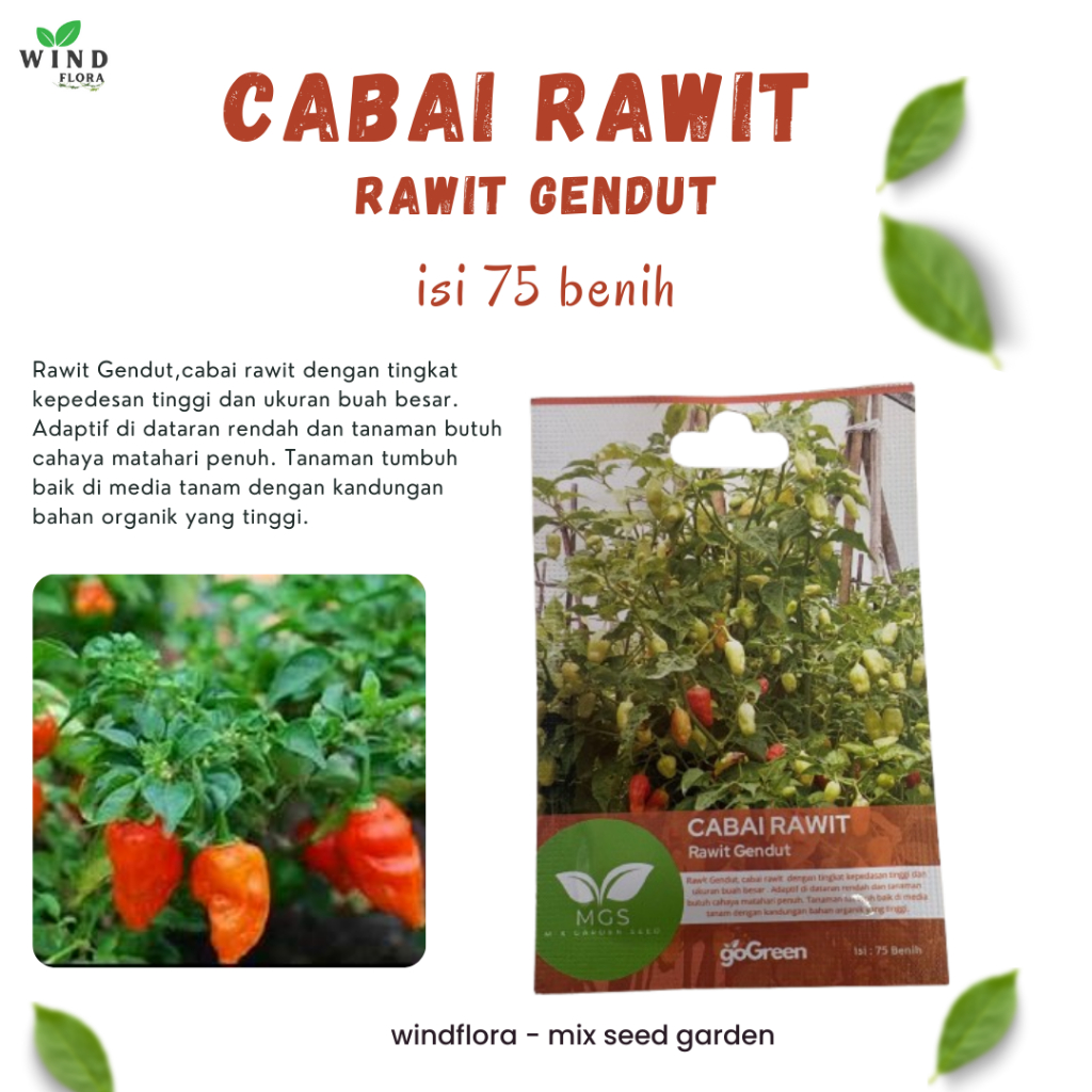 Jual MACAM MACAM ANEKA BENIH BIBIT SAYURAN SAYUR CABE GENDOT CABAI ...