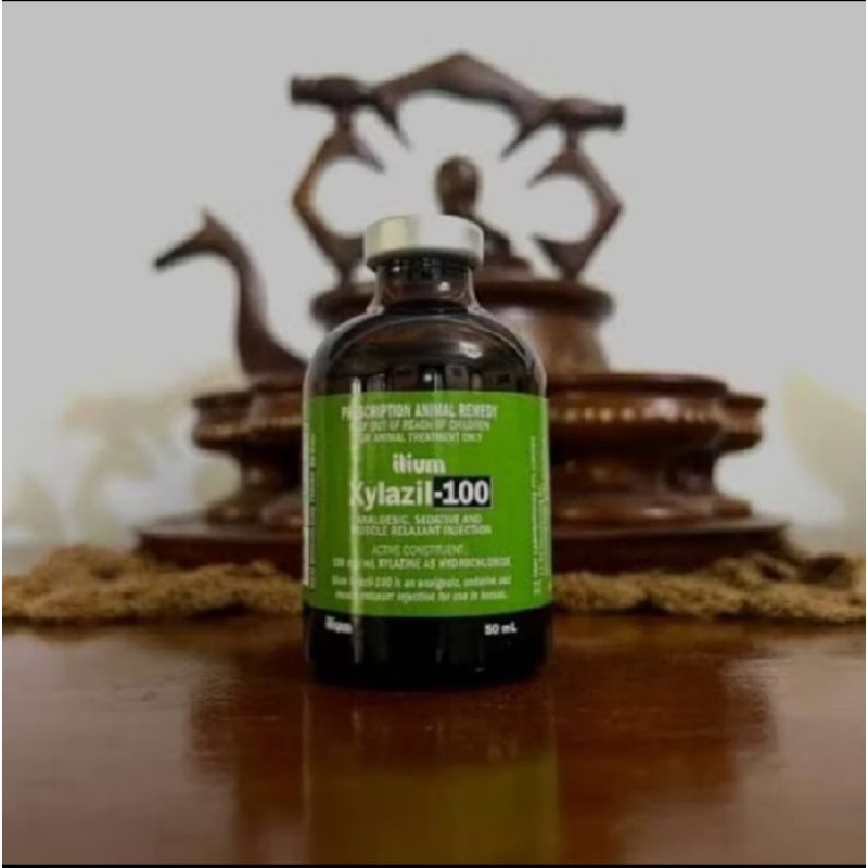 Jual XYLAZIL-100 ILIUM 50ML ASLI ORIGINAL | Shopee Indonesia