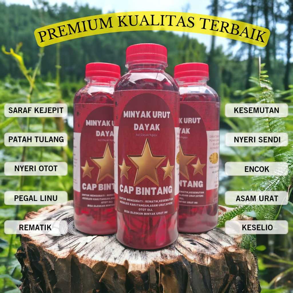 Jual Minyak Urut Dayak Cap Bintang Asli Kalimantan 100% Original ...