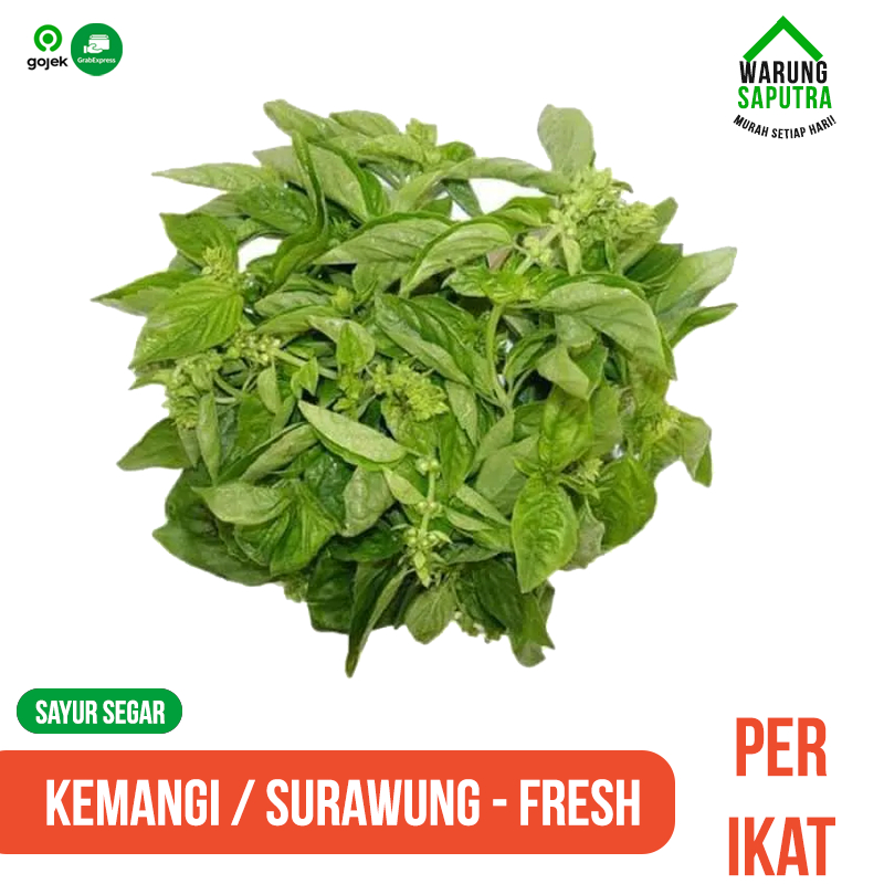 Jual Kemangi / Surawung Segar per ikat | Shopee Indonesia