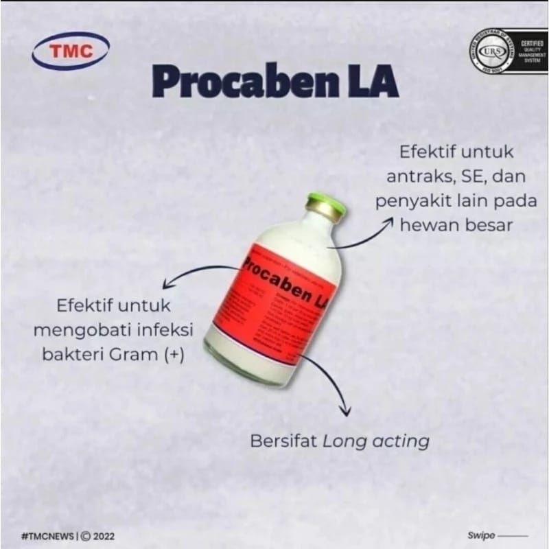 Jual procaben la 100ml pernafasan kesehatan hewan | Shopee Indonesia
