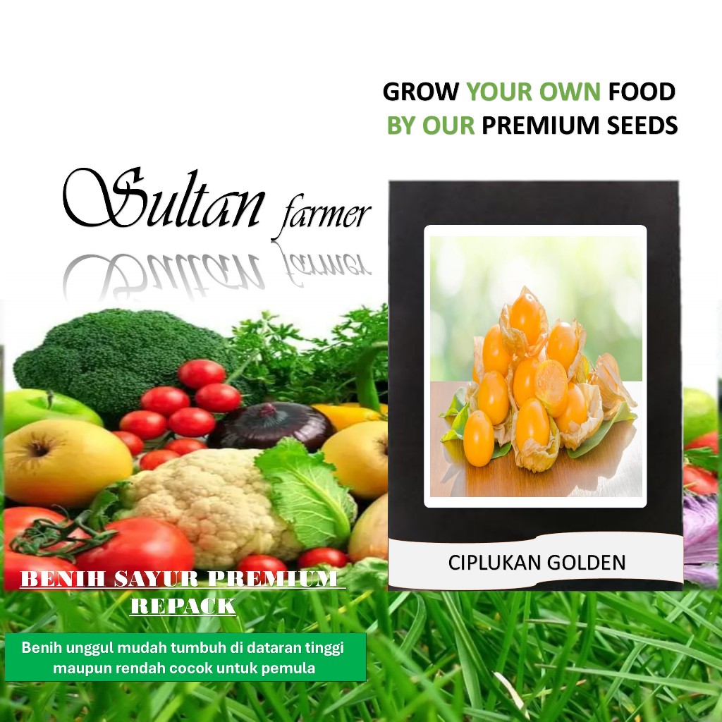 Jual 70 biji benih ciplukan golden ciplukan warna emas | Shopee Indonesia