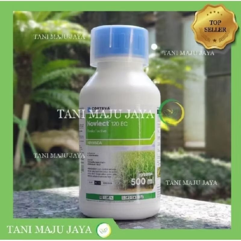 Jual NOVLECT (ORIGINAL) 120 EC HERBISIDA PENGENDALI GULMA | Shopee ...