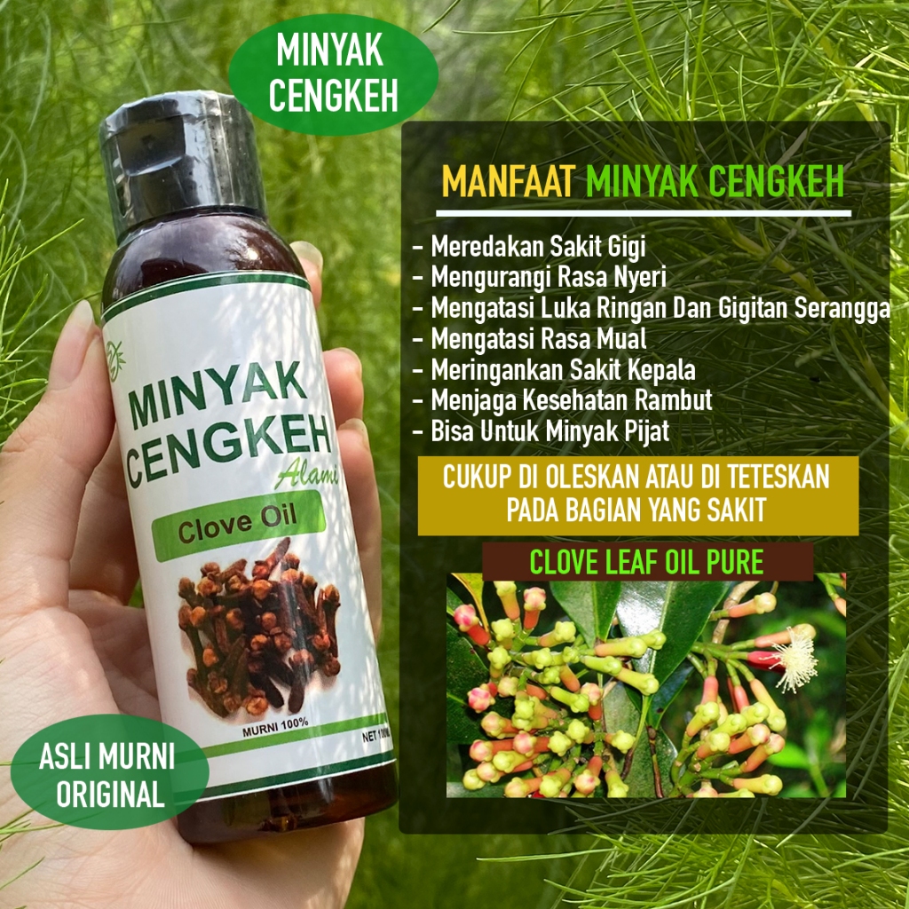 Jual Minyak Cengkeh Asli Original | Shopee Indonesia