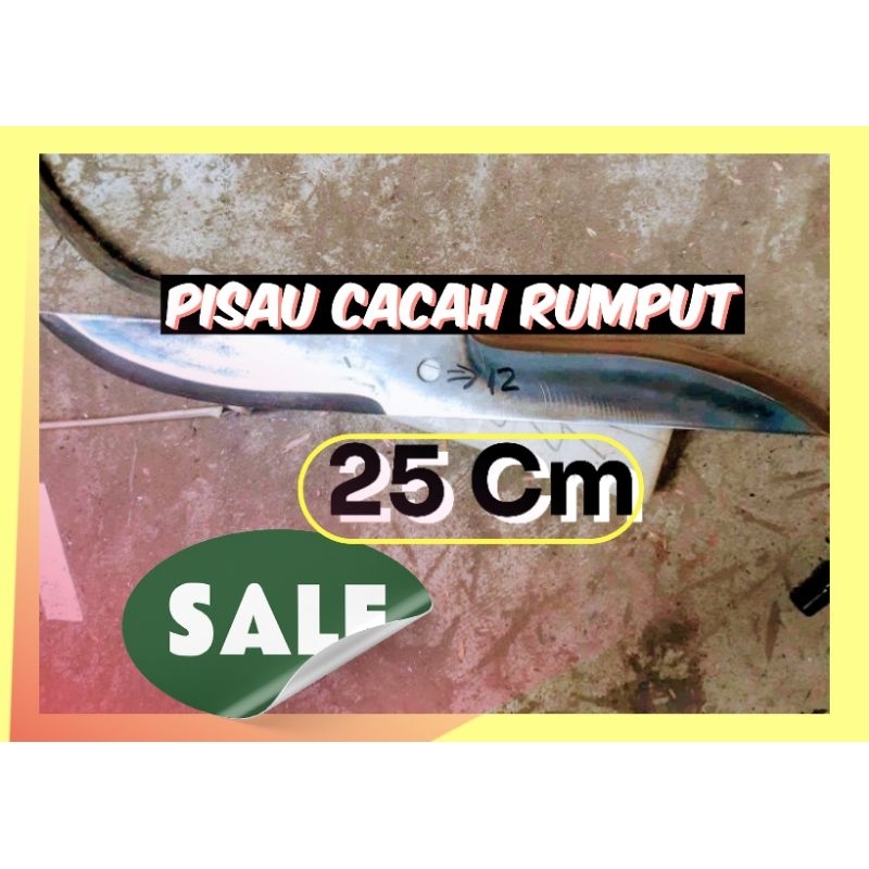 Jual PISAU CACAH RUMPUT 25 CM DAN TANAMAN PAKAN UNTUK TERNAK KAMBING ...