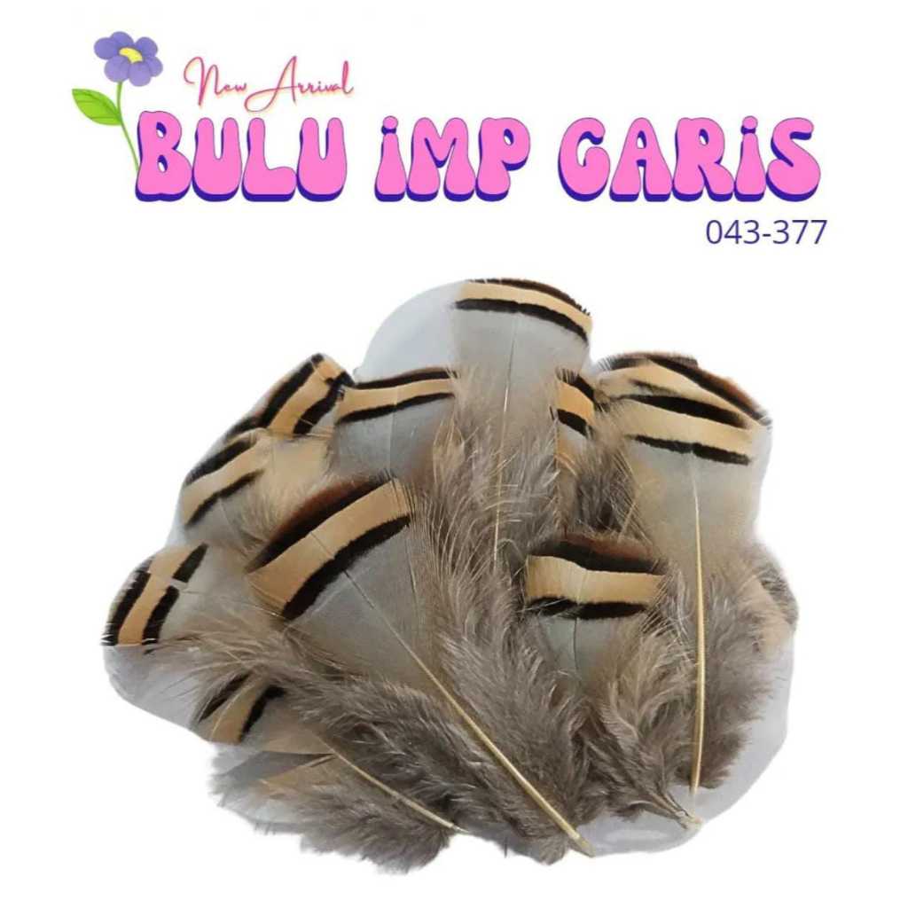 Jual Bulu Ayam Motif Garis Tepi/Ukuran 5-7cm/Bahan Kerajinan Tangan ...