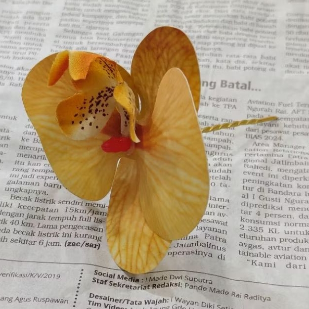 Jual cucuk bunga anggrek latek kuning semanggi sanggul bali | Shopee ...