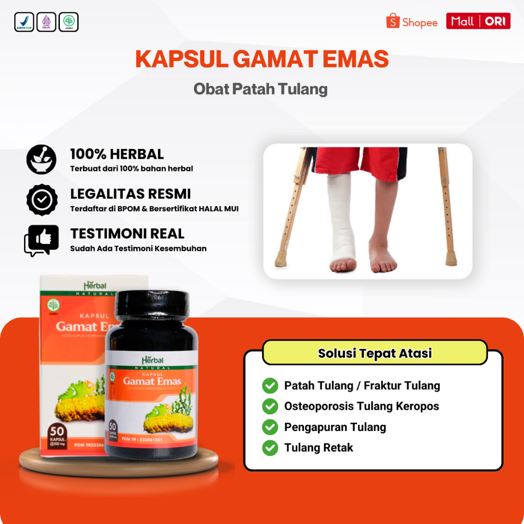Jual Kapsul Gamat Emas - Obat Patah Tulang dan Retak, Obat Patah Tulang ...