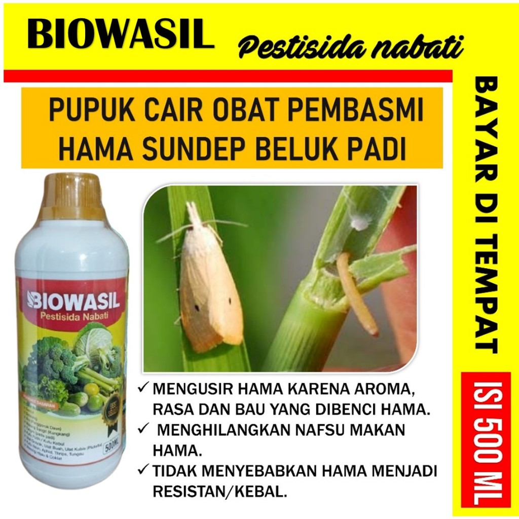 Jual BIOWASIL 500 ML PALING LARIS OBAT PEMBASMI HAMA SUNDEP BELUK PADI ...