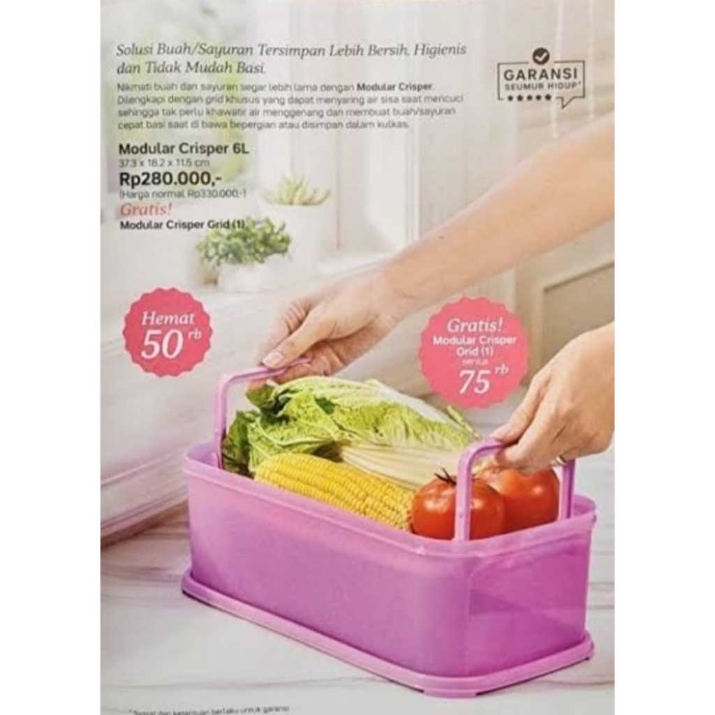 Jual TUPPERWARE Modular Crisper with Grid 6L Tempat Buah Sayur | Shopee ...