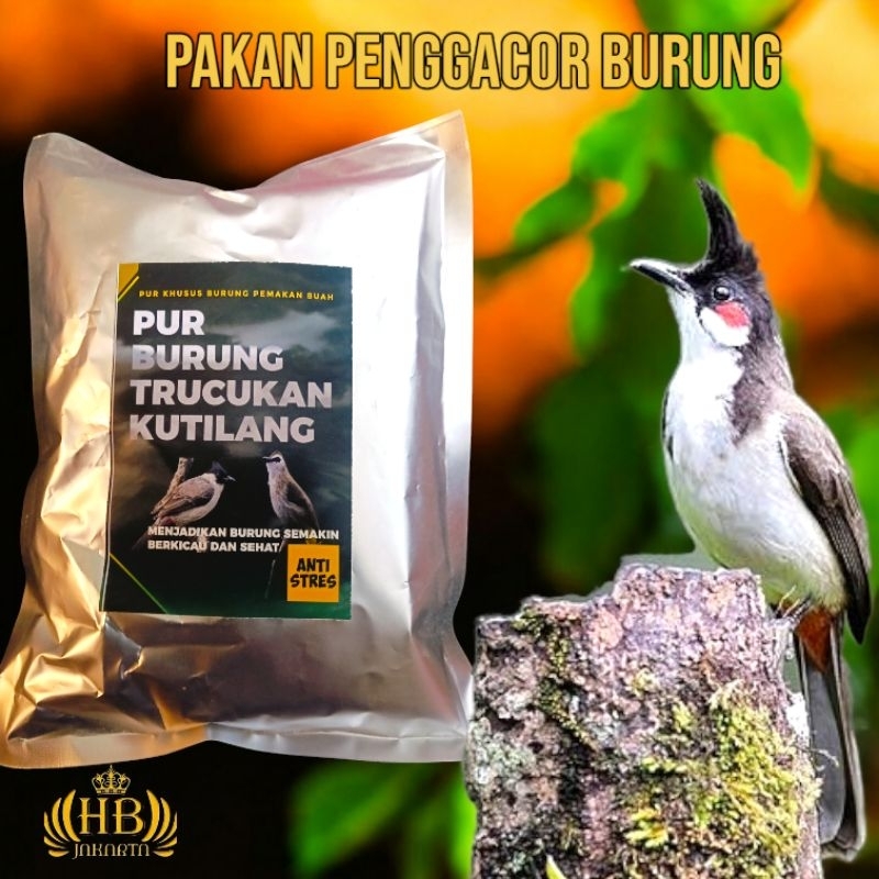 Jual PUR BURUNG KHUSUS TRUCUKAN DAN KUTILANG ANTI STRES | Shopee Indonesia