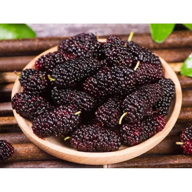 Jual MULBERRY ARBEI FROZEN KEMASAN 1KG BUAH LOKAL TERDEKAT BY GOJEG ...