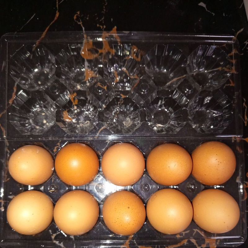 Jual (AOL) 10 Butir Telur Ayam Negeri | Shopee Indonesia