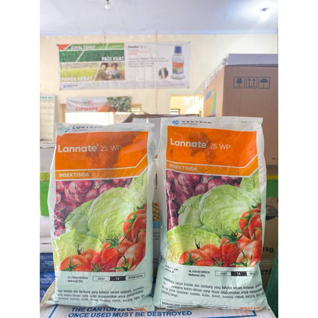 Jual INSEKTISIDA LANNATE 25WP 500gram (BUNGKUS WARNA ORANGE) | Shopee ...