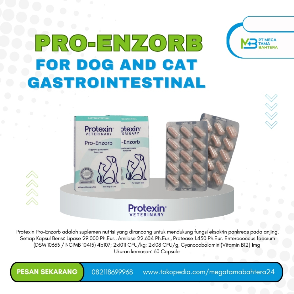 Jual Pro-enzorb for Dog and Cat (60 Kapsul) | Shopee Indonesia
