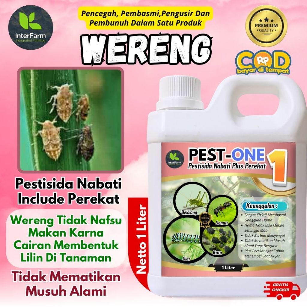 Jual Obat Hama wereng Padi / Pestisida Organik untuk semua tanaman ...