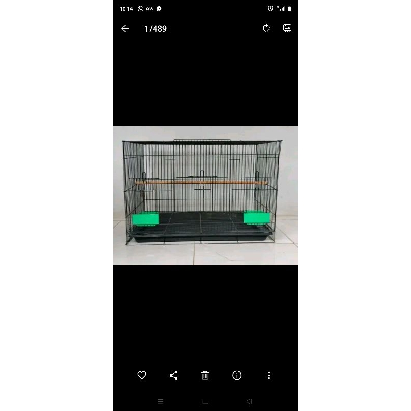 Jual kandang besi kota | Shopee Indonesia
